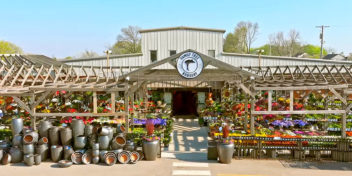 Family Tree Nursery Overland Park Ks