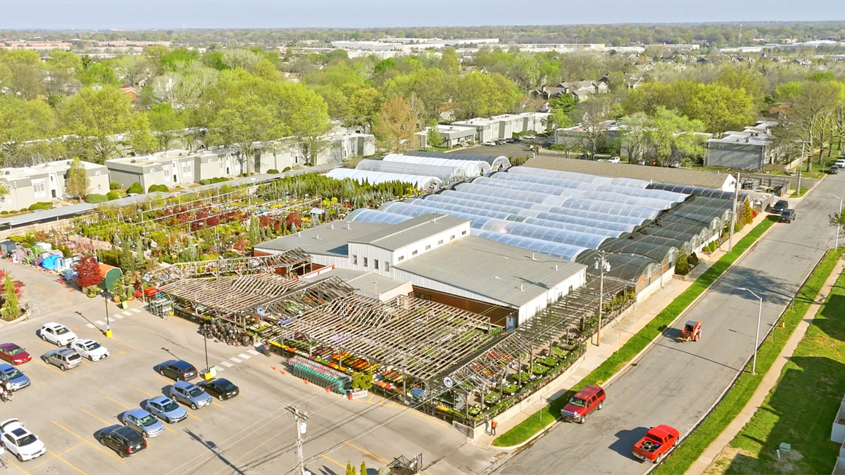 Family Tree Nursery Overland Park Ks